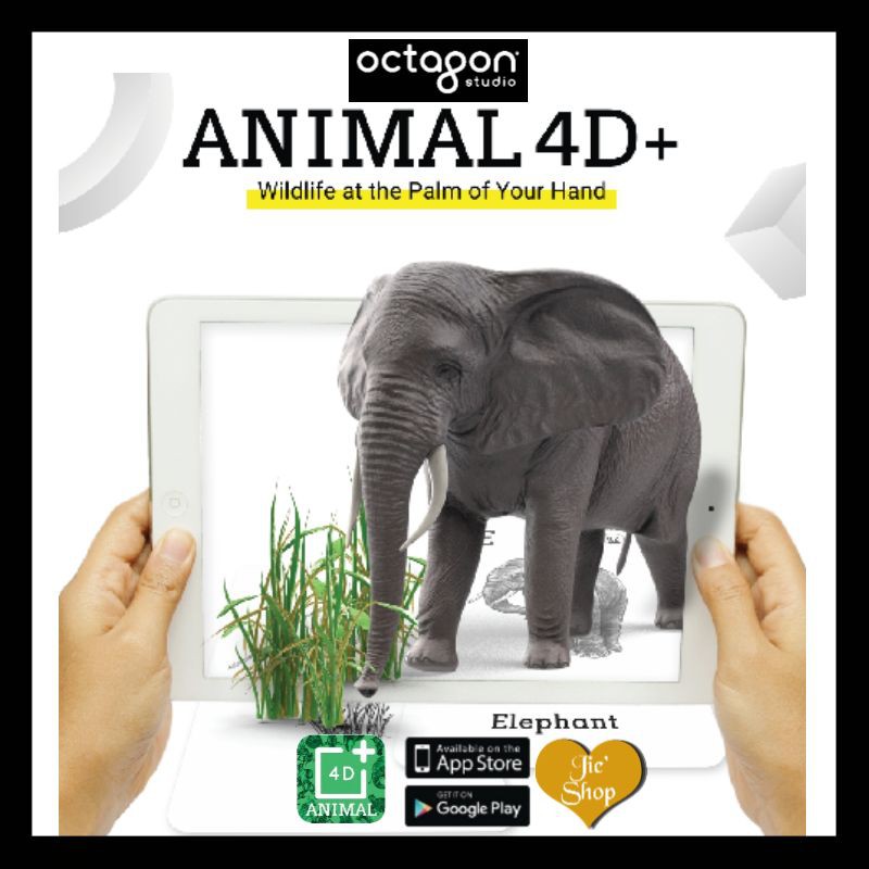 Flash Card 4D Early Learning Education Baby Toddler Kids Parent by ...