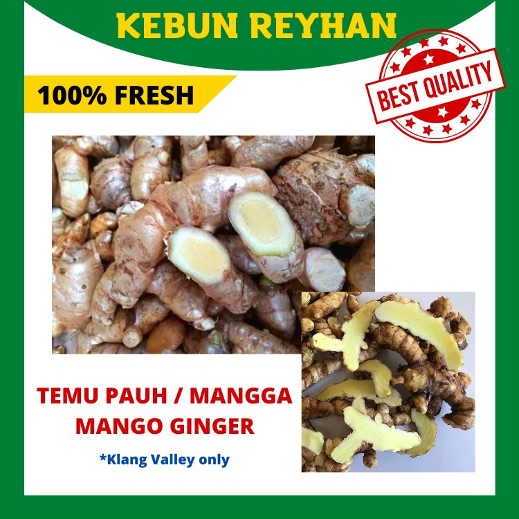 [PRE-ORDER] 100% Fresh Organic 250g Mango Ginger / Temu Pauh / Temu ...