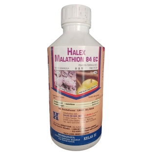 Halex Malathion 84EC 1L 250ml Malathion 84% lalat buah koya hama merah ...