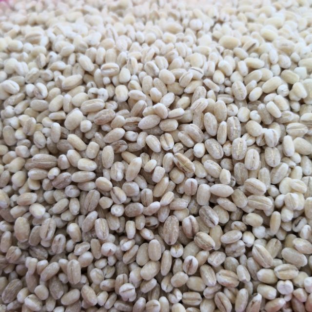 Biji Barli/Barley (200G) | Shopee Malaysia
