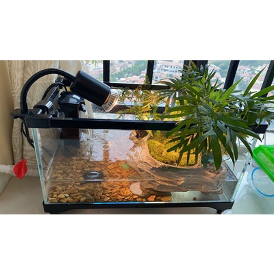 Glass turtle tank home living room small villa breeding box large ...