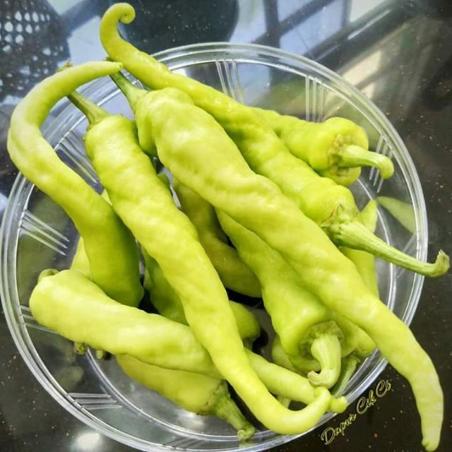 LADA HIJAU / LADA SOLOK FRESH 100GM | Shopee Malaysia