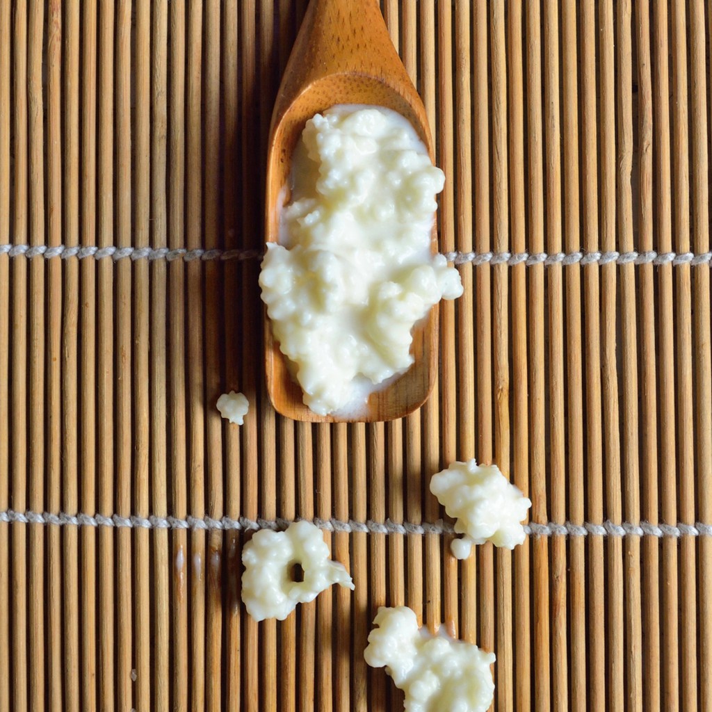HEALTHY Active Milk Kefir Grains (Mother Culture) | Shopee Malaysia