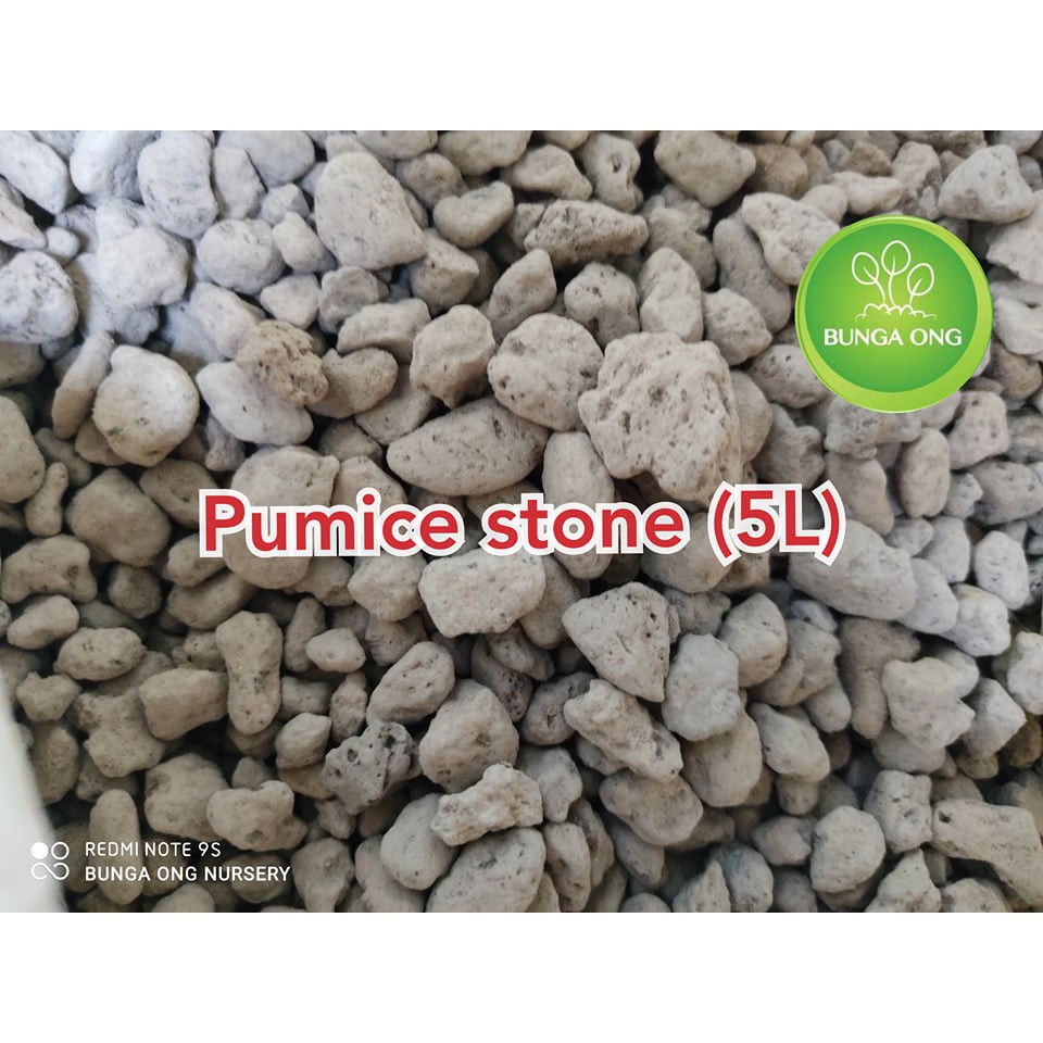 Pumice stone / Batu apung / 浮石 (5L) | Shopee Malaysia