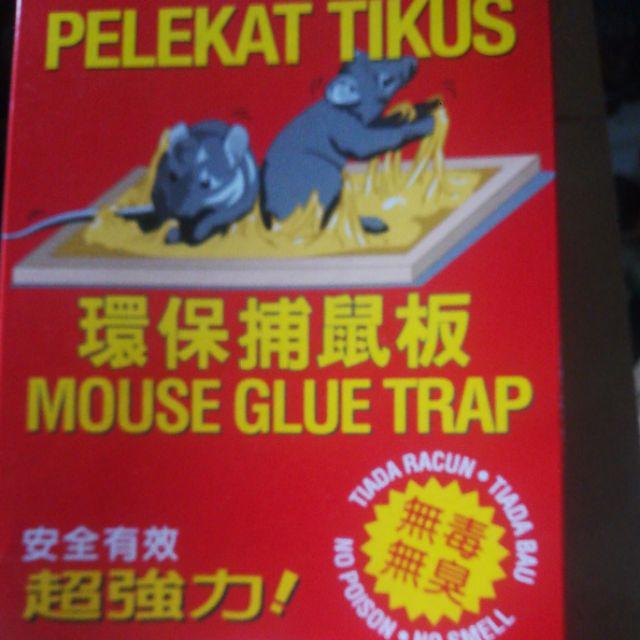 Mouse Glue Trap - Pelekat Tikus - gam perangkap tikus | Shopee Malaysia