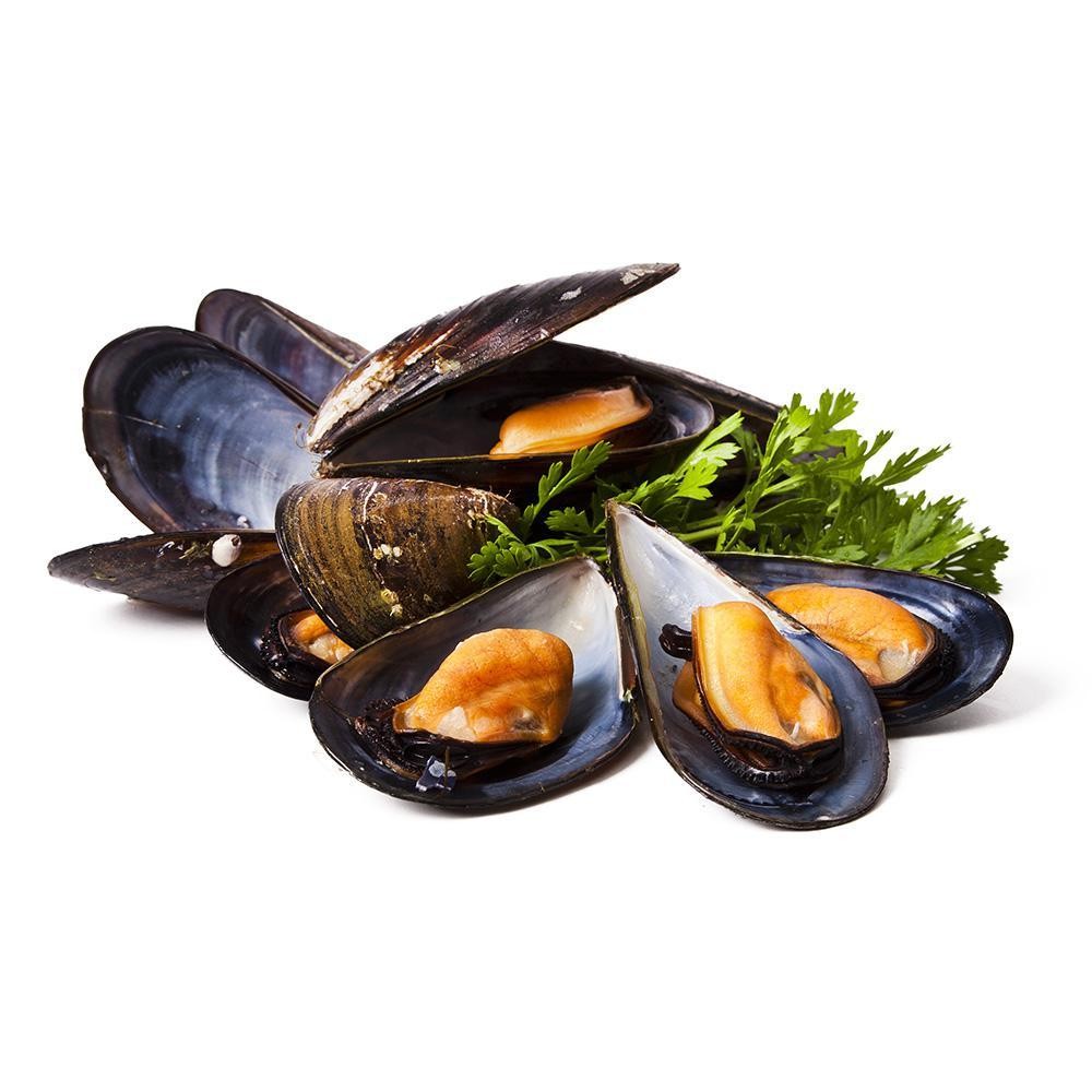 Half Shell Black Mussel/Siput kemudi | Shopee Malaysia