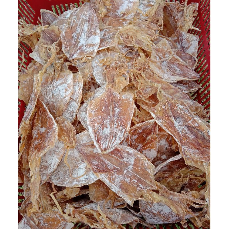 Sotong Kering Terengganu | Shopee Malaysia