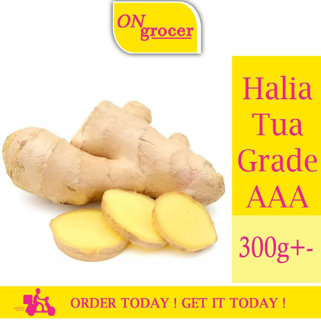 A0253 - Halia Tua Grade AAA - 300g+- | Shopee Malaysia
