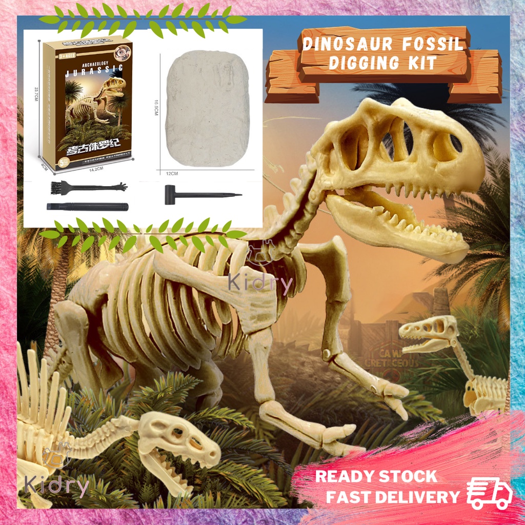 Dinosaur Fossil Digging Kit Children Science Excavation Tool Archeology ...