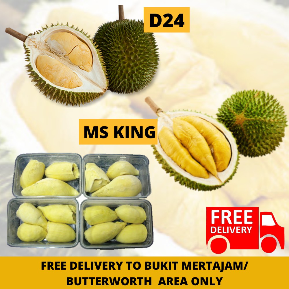 [COD BUKIT MERTAJAM/BUTTERWORTH] FRESH Durian 1KG - D24 Musang King ...