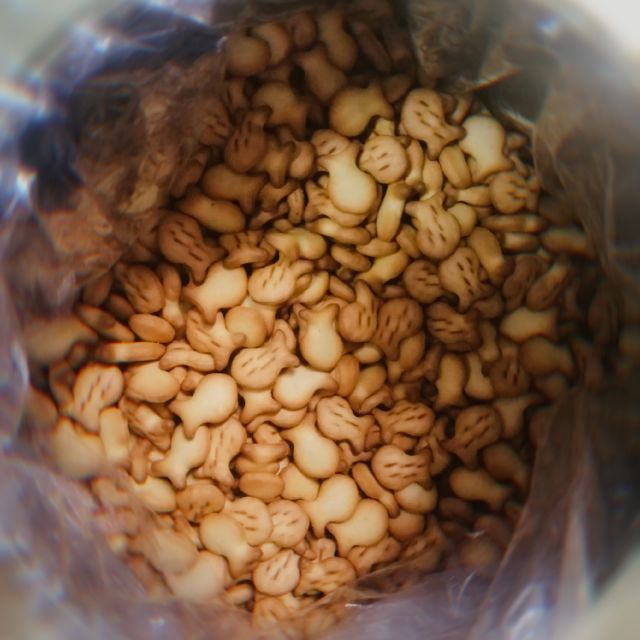 Flying fish biscuit 500g | Shopee Malaysia