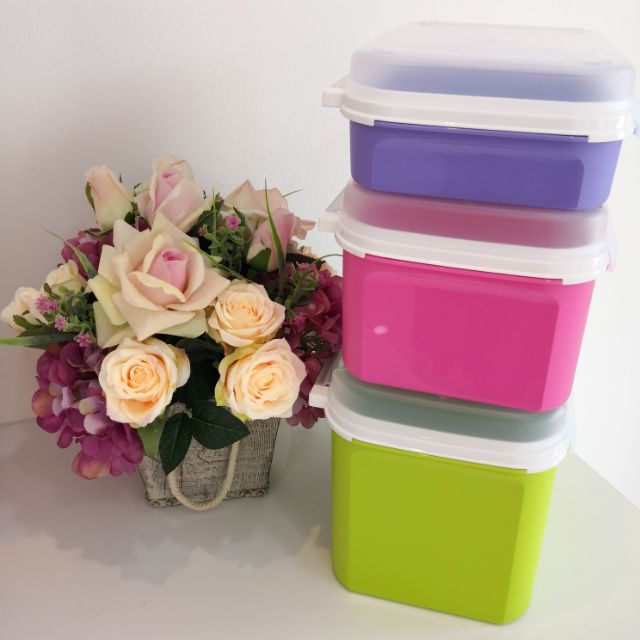 Tupperware : Ezy Rect Keeper (1) | Shopee Malaysia