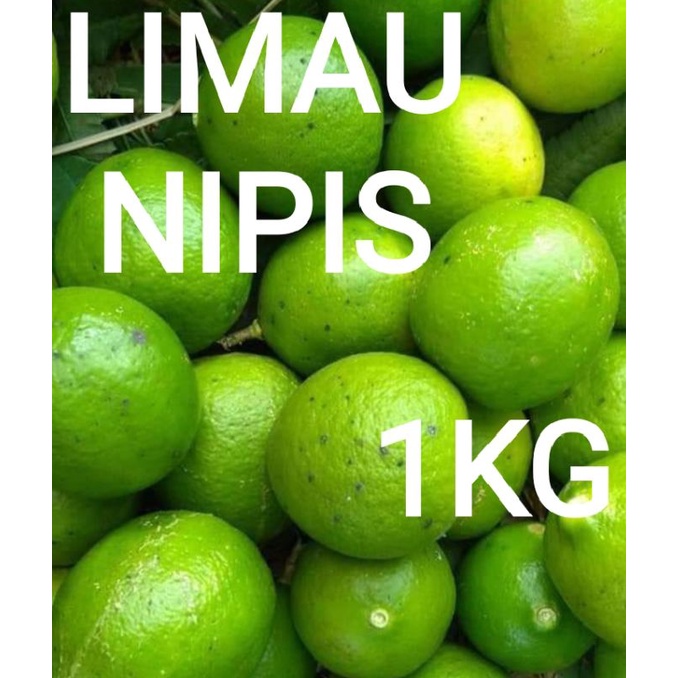 LIMAU NIPIS 1KG FRESH DARI KEBUN / BUAH LIMAU NIPIS / JUS LIMAU ...