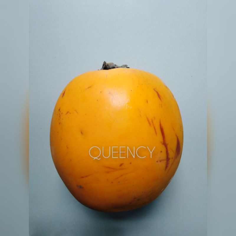 Biji benih terung asam/ terung Sarawak | Shopee Malaysia