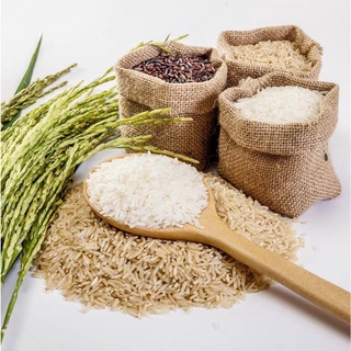 CLS Beras Wangi Jasmine Sunwhite Fragrant Rice 5kg | Shopee Malaysia