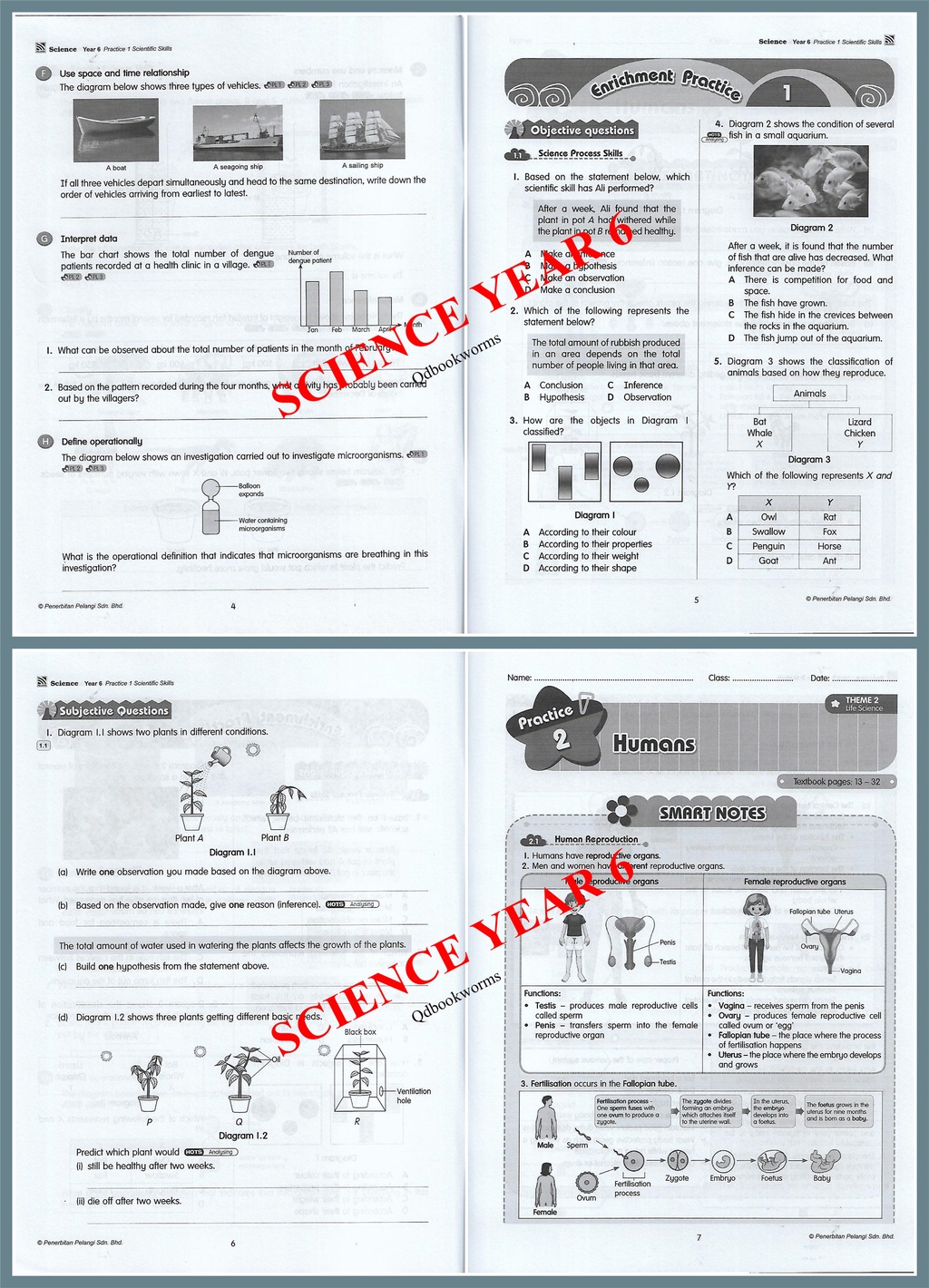 华小6年级作业 英文版 ENGLISH VERSION 预备，起！PRAKTIS GO! 6华小六年级作业 SJKC TAHUN YEAR 6 ...