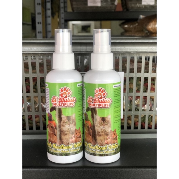 Si Bulus Multiplus ( luka dan kulit , menghapuskan kuman , mencegah ...