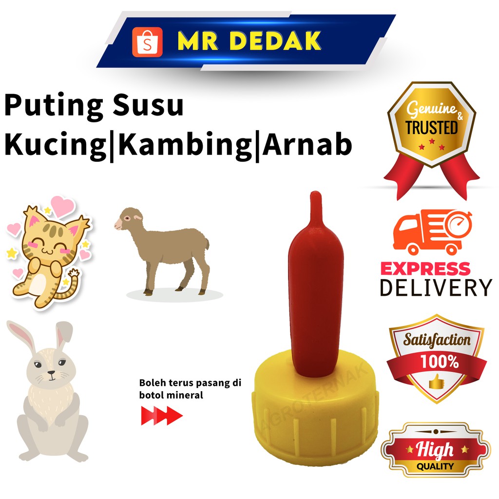 Puting anak Kucing, Kambing, Arnab, Anjing | Cat nipple|Dog nipple ...