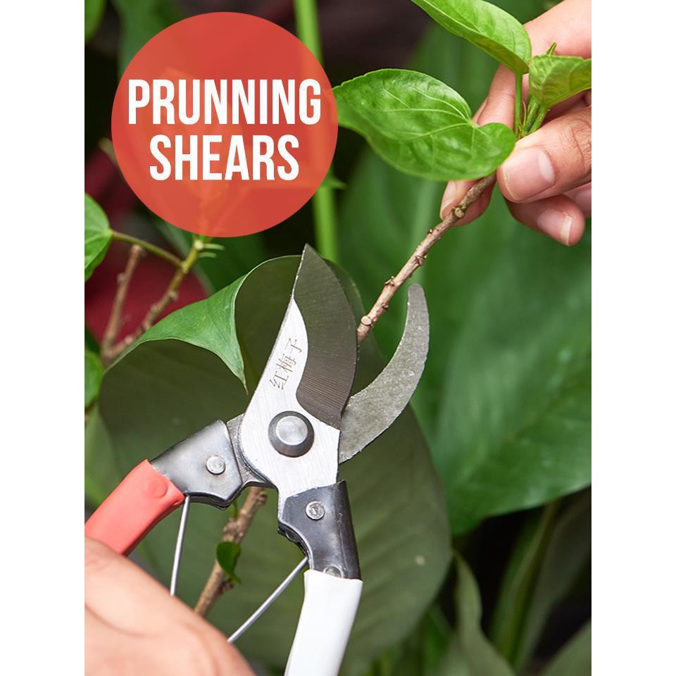 Pruning Shears Garden Scissors Gunting Pokok Bunga Gardening Tools ...