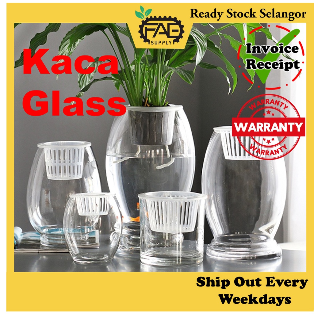 Pasu Kaca bulat Glass Vase Goose egg shape hydroponic vase pasu bunga ...