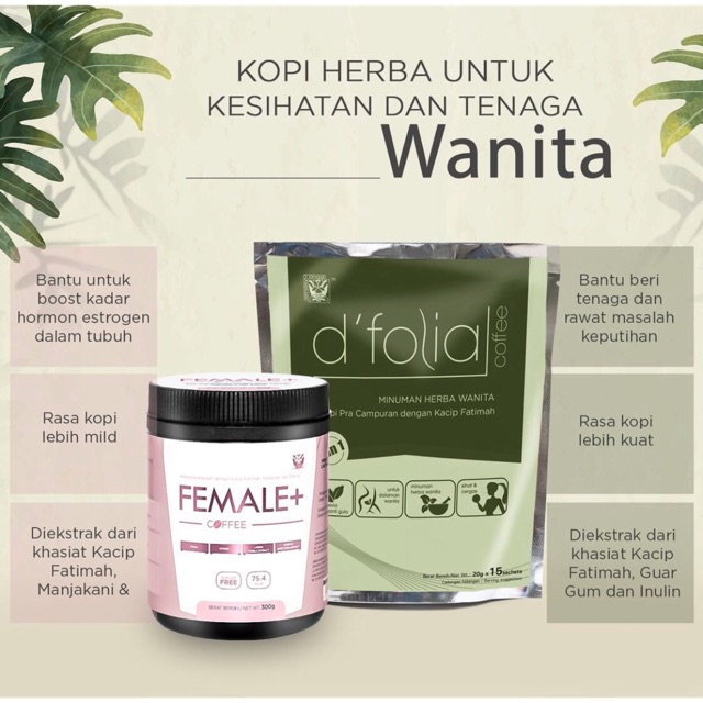 Sendayu Tinggi Dfolia Coffee @ Female | Shopee Malaysia