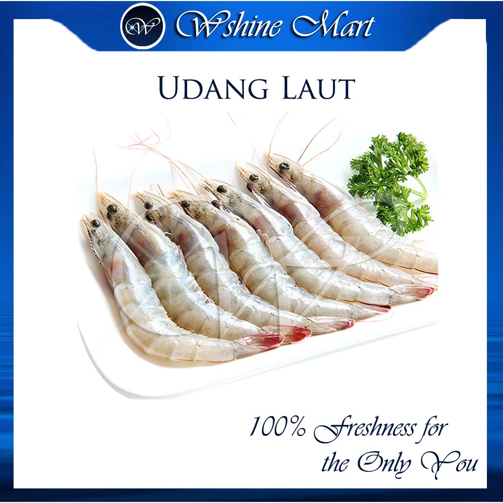 [100% No Chemical] Udang / Udang Laut / Fresh Sea Prawn 500gram Udang ...