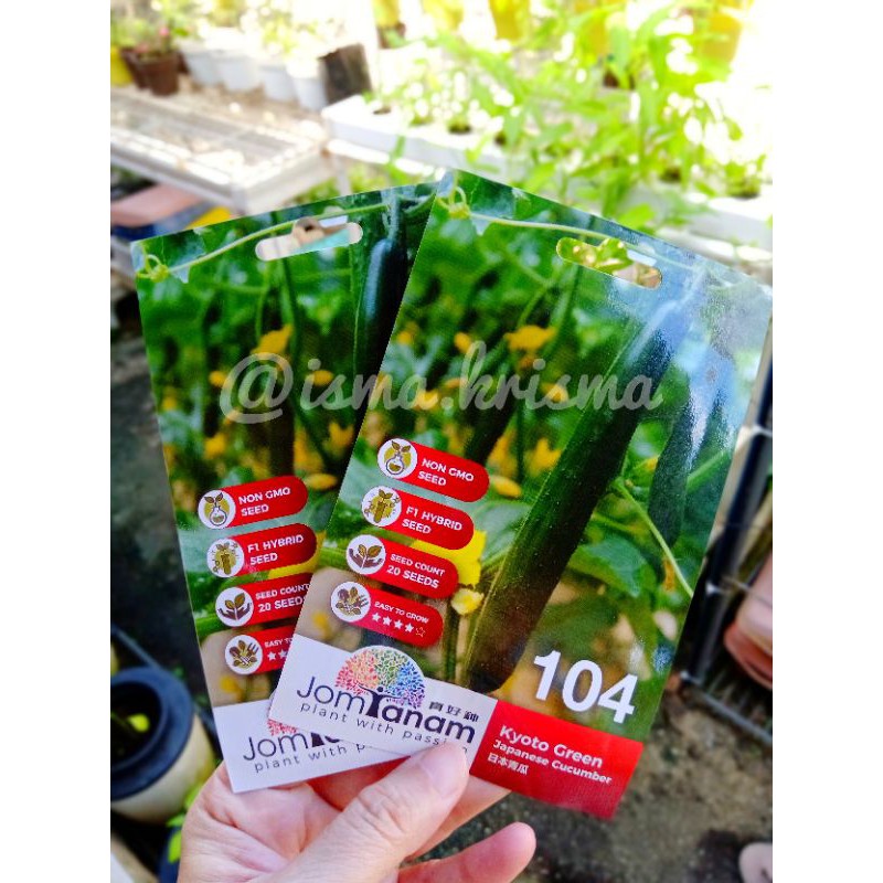 Benih Timun Jepun Kyoto Cucumber (Japanese Cucumber) - Crop Power ...