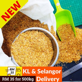 Guni Rice Husk / Sekam Padi Mentah 10kg Media Tanaman Untuk Kebun di ...