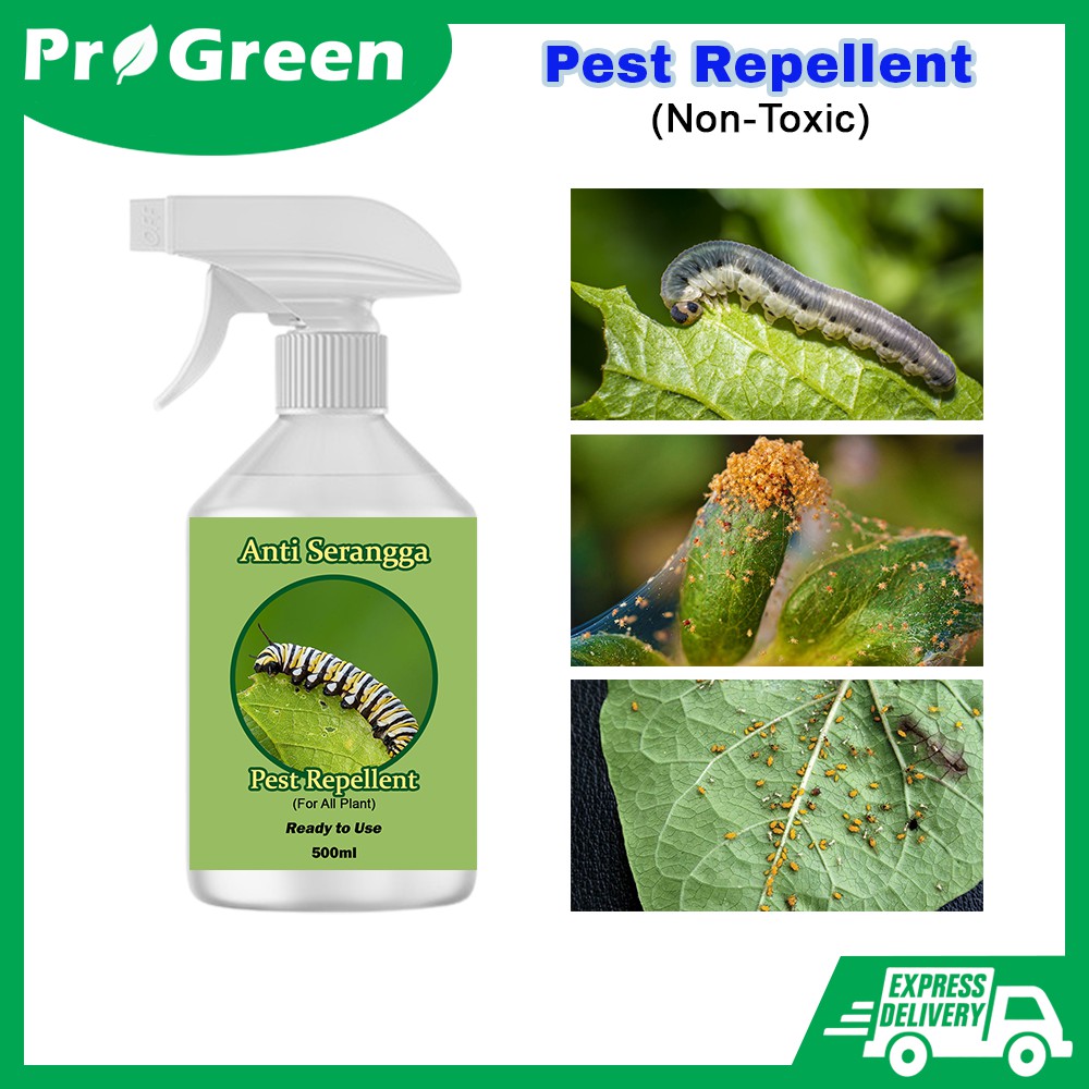 PROGREEN Neem Oil Pesticide / Pest Control / Anti Serangga Organik ...