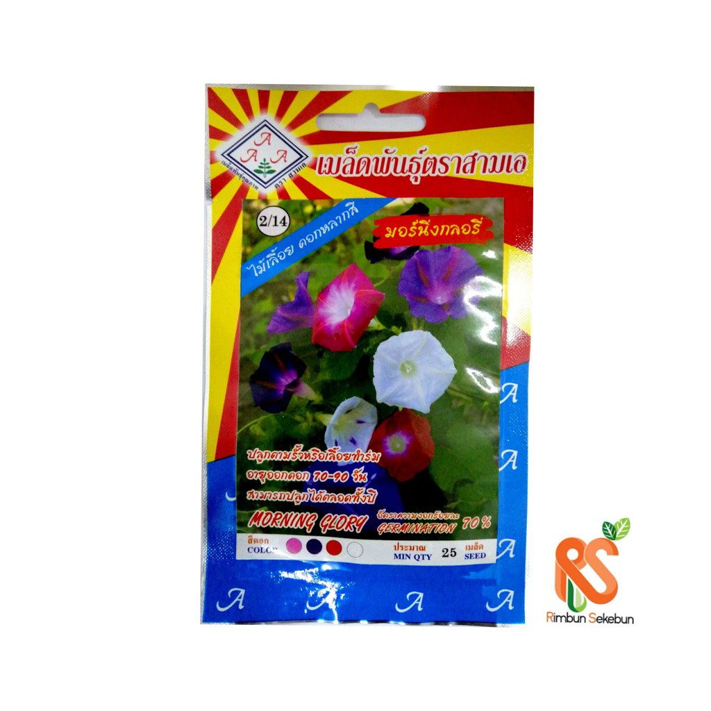 Biji Benih Thailand Bunga Seri Pagi Morning Glory Seeds | Shopee Malaysia