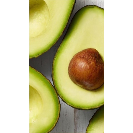BENIH AVOKADO BIJI AVOKADO AVOCADO SEED | Shopee Malaysia