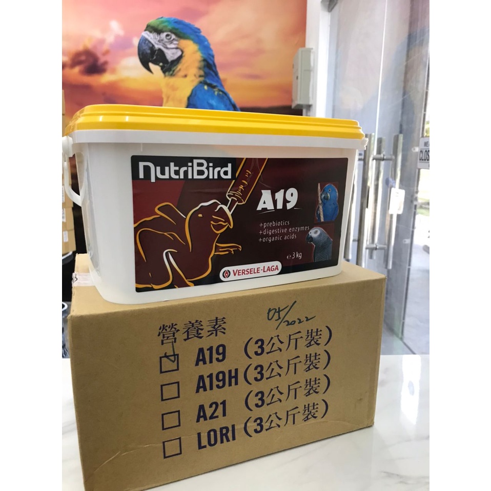 NUTRIBIRD A19 3kg Hand-rearing food for macaws, African greys, eclectus ...