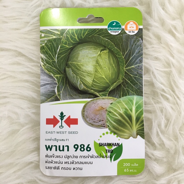 Mini Pack 200 Seeds PANA 986 Biji Benih Kubis Bulat Hijau Green Round ...
