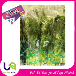 Plastik Bungkus Sayur Plastik BOPP Vegie Wrapping Flower Wrapping ...