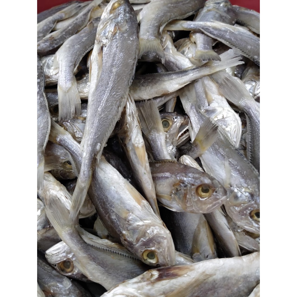 IKAN GELAMA MASAM KECIK READY STOCK | Shopee Malaysia