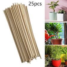 Buluh Pancang Pokok / Tiang Support Pokok / BAMBOO / KAYU PANCANG ...