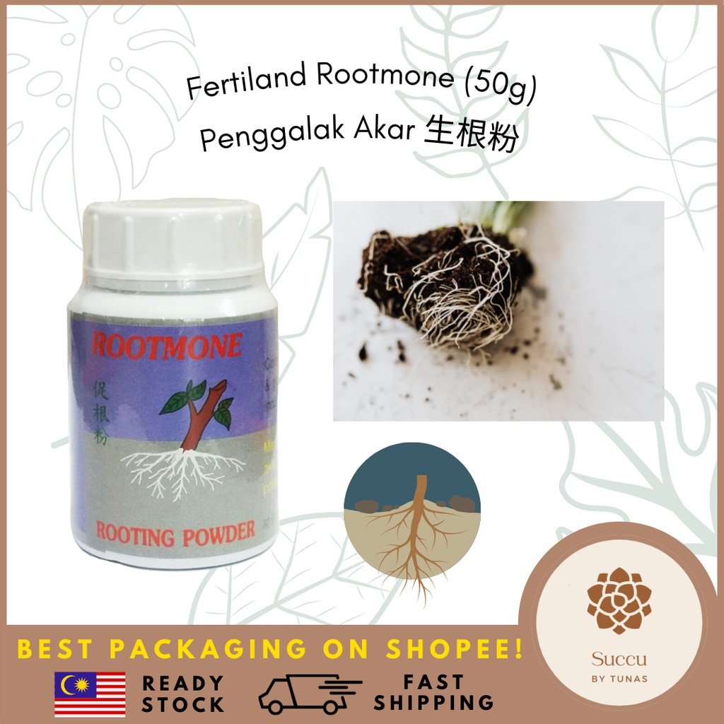 [Succu] Fertiland Rootmone Rooting Powder Penggalak Akar (50g) *READY ...