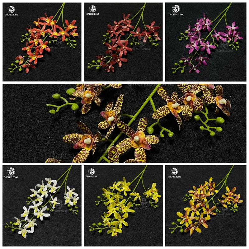 [READY STOCK] WILD ORCHID / ORKID LIAR (16 flowers) | Shopee Malaysia