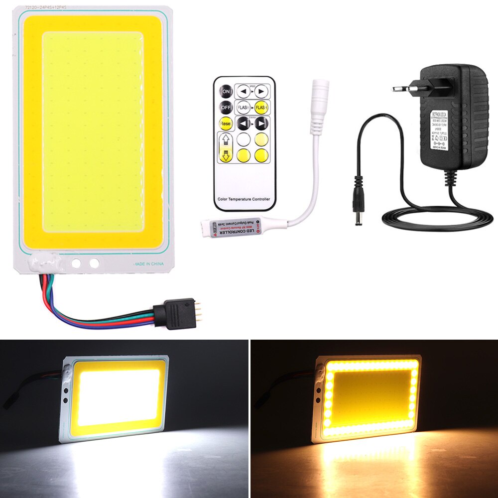 DC12V Double Two Color LED Light with Remote Control Dimmer Flip Chip ...