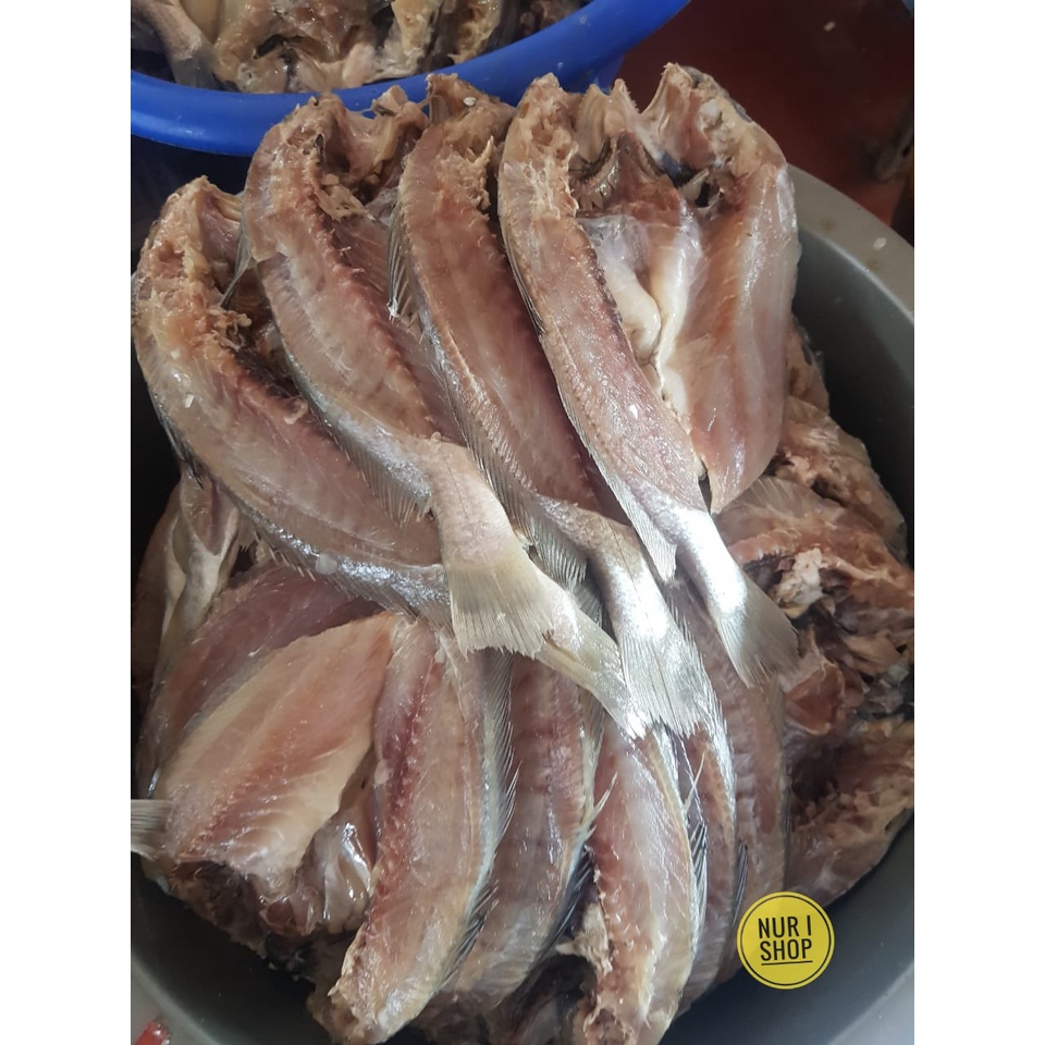 IKAN BEKOK GELAMA SUNGAI | Shopee Malaysia