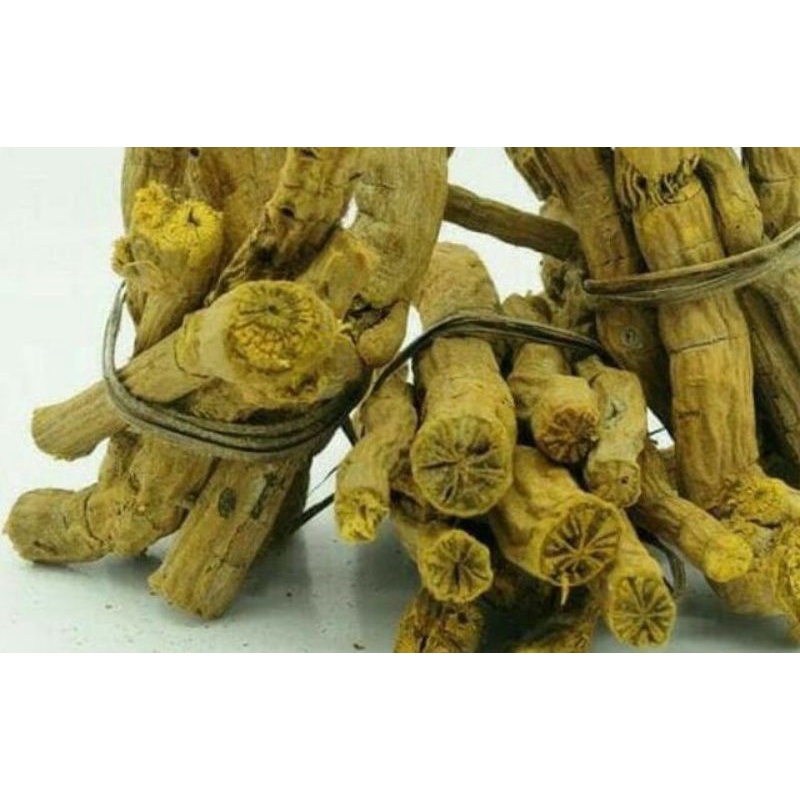 herba kayu kuning akar. root 100g | Shopee Malaysia