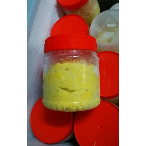 Tempoyak durian kampung ori/ fermented durian paste 500g | Shopee Malaysia
