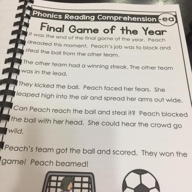 Kindergarten to Grade 2 phonic comprehension | Shopee Malaysia