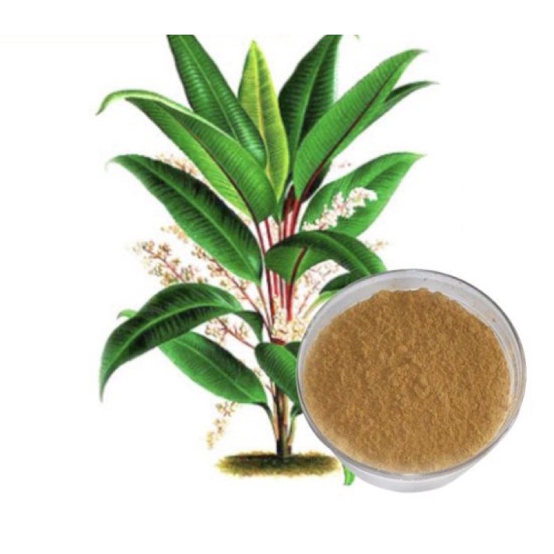 EKSTRAK KACIP FATIMAH | Shopee Malaysia