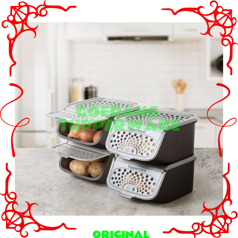 Original Tupperware Onion Place - Onion Jar Onion (1Pc) | Shopee Malaysia