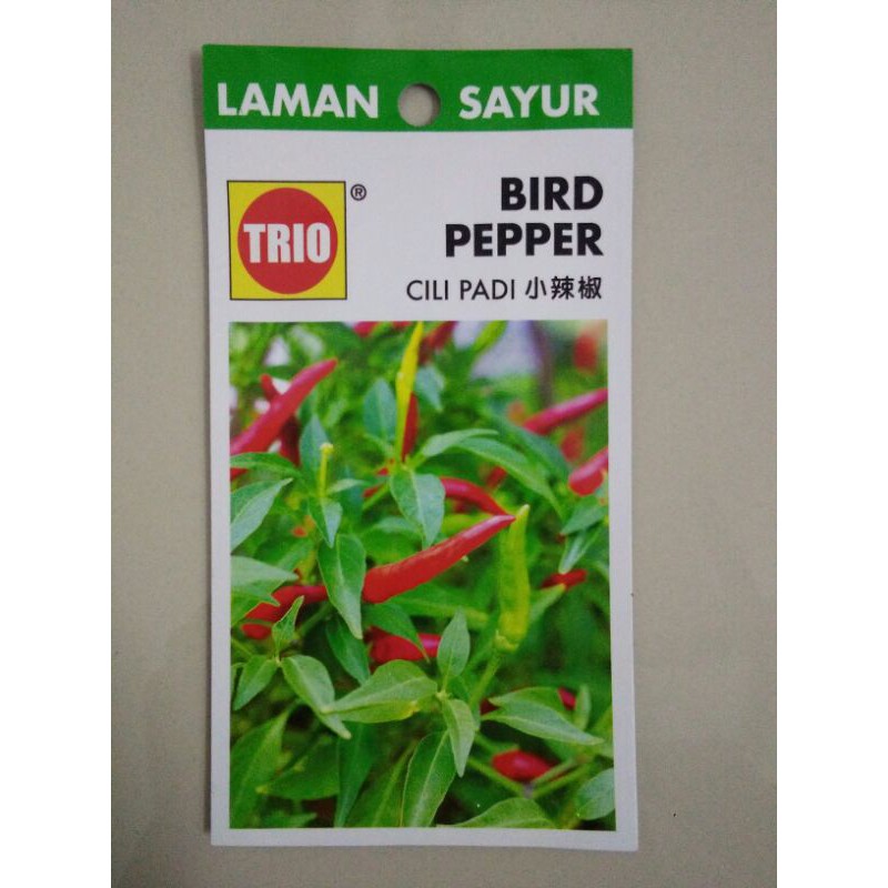Benih Cili Padi/Cili Pedas | Shopee Malaysia