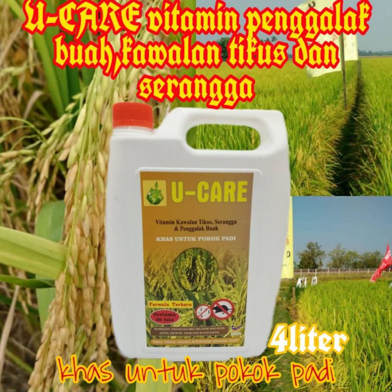 Kawalan Rumpai Tanaman Padi | blogkawalan