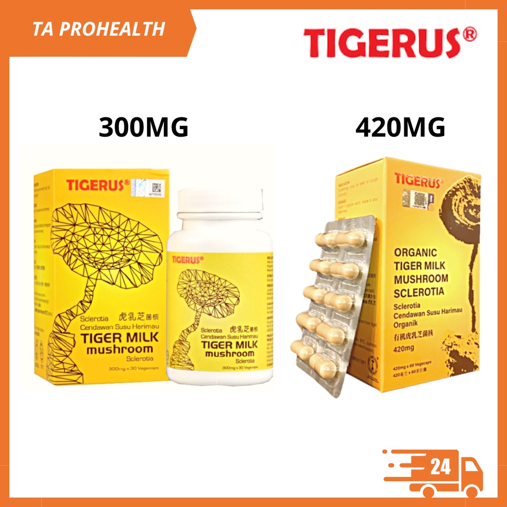 Tigerus Tiger Milk Mushroom Sclerotia 300mg (30's / 60's) / 420mg (60's ...