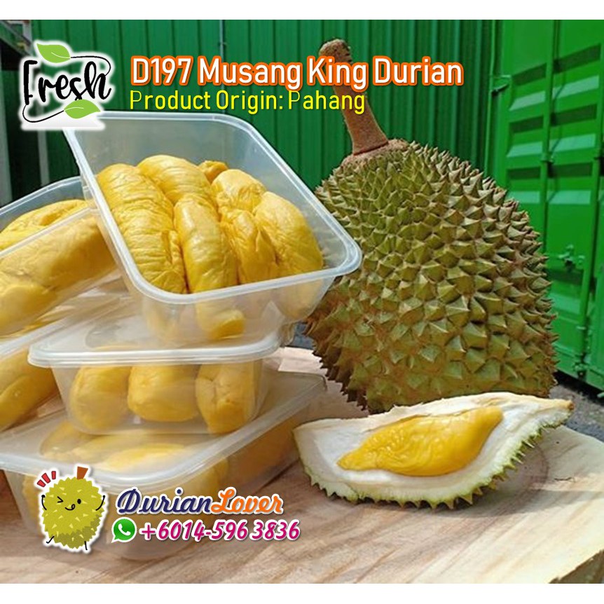 [Klang Valley Only] 100% Fresh Musang King , D101 & XO Durian -- 400 ...