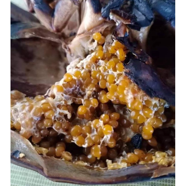 BELANGKAS PADI FROZEN (Siap Siang) | Shopee Malaysia